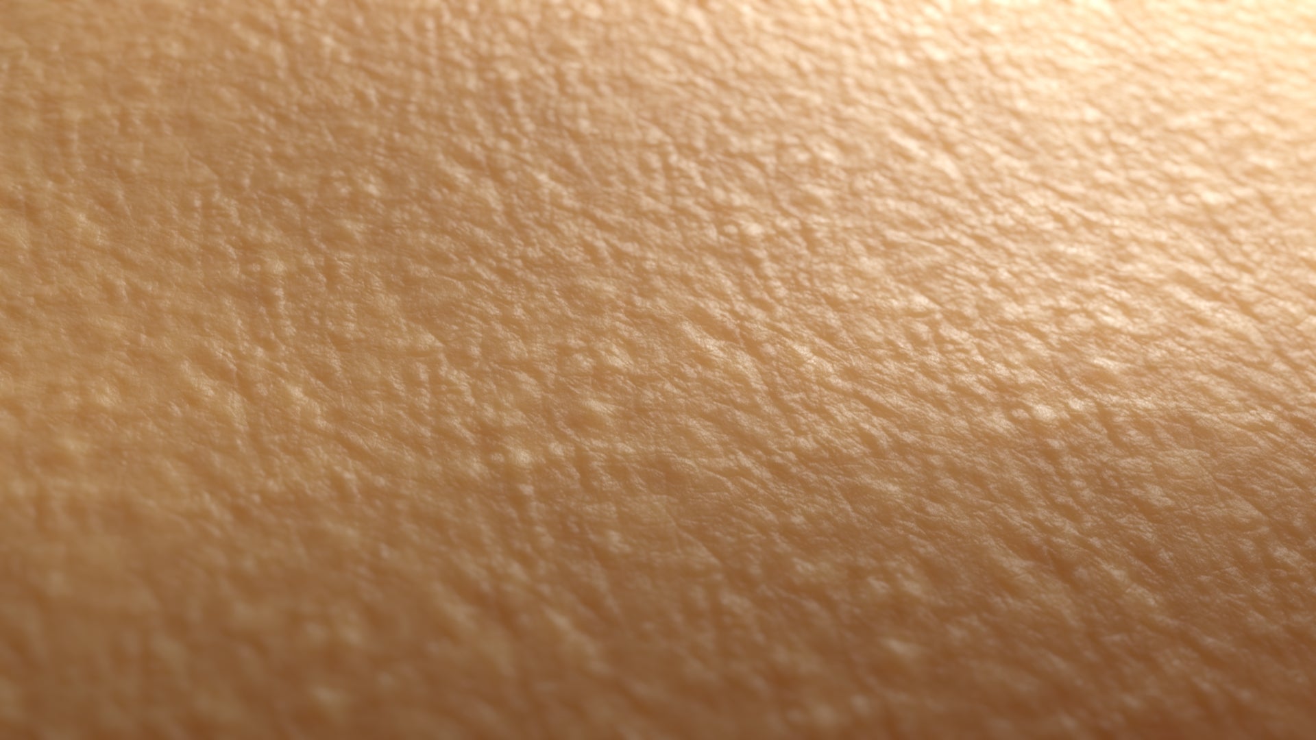 MicroSkin Face Forehead #28 – Texturing.xyz