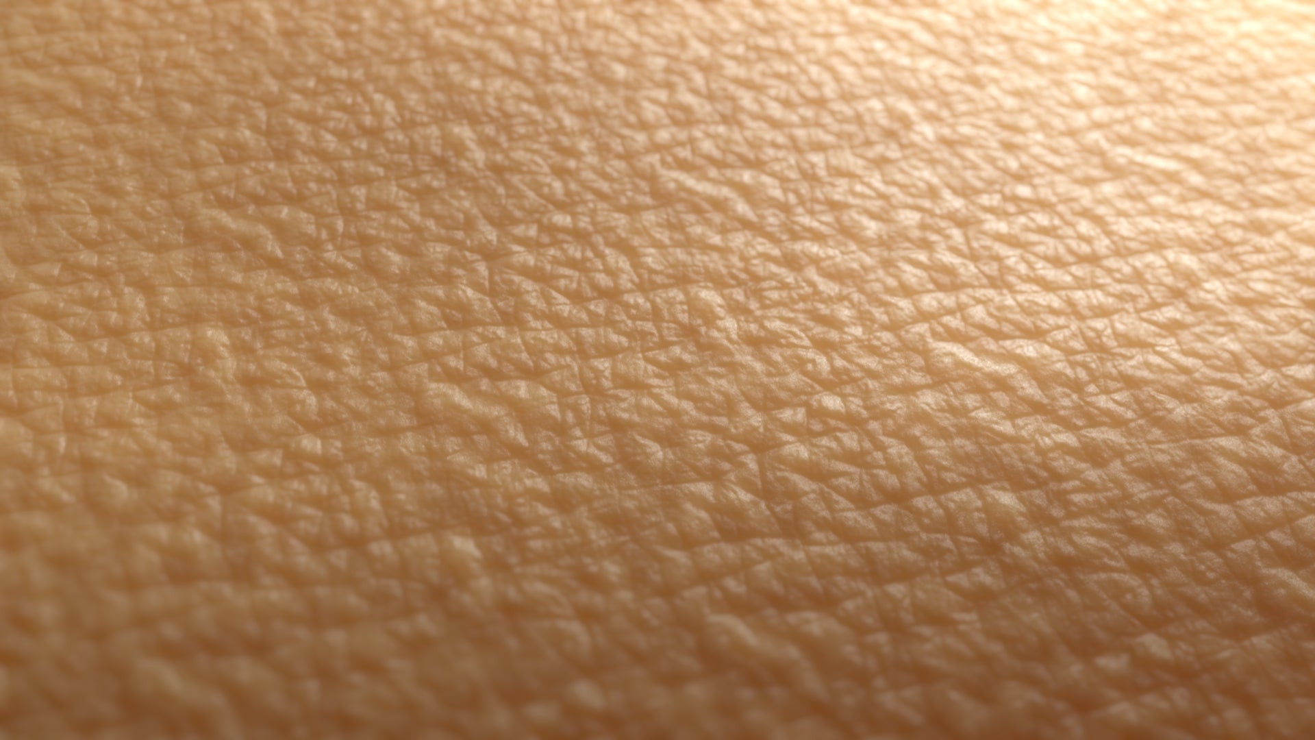MicroSkin Face Forehead #40 – Texturing.xyz