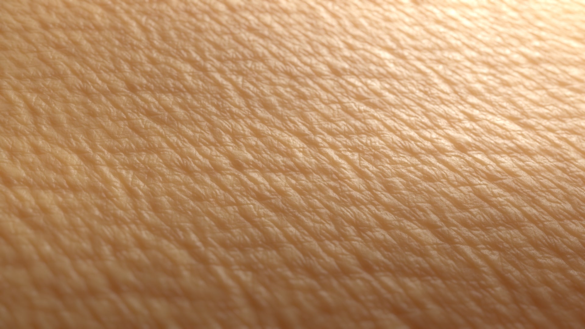 MicroSkin Face Cheek #05 – Texturing.xyz