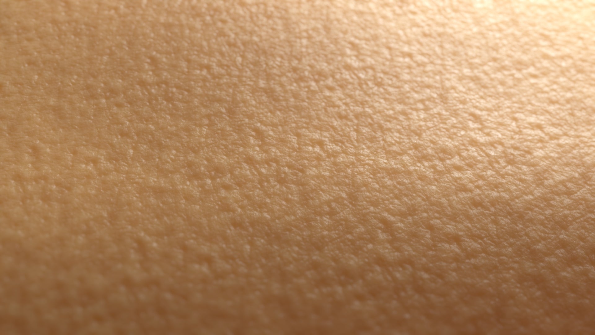 MicroSkin Face Cheek #22 – Texturing.xyz