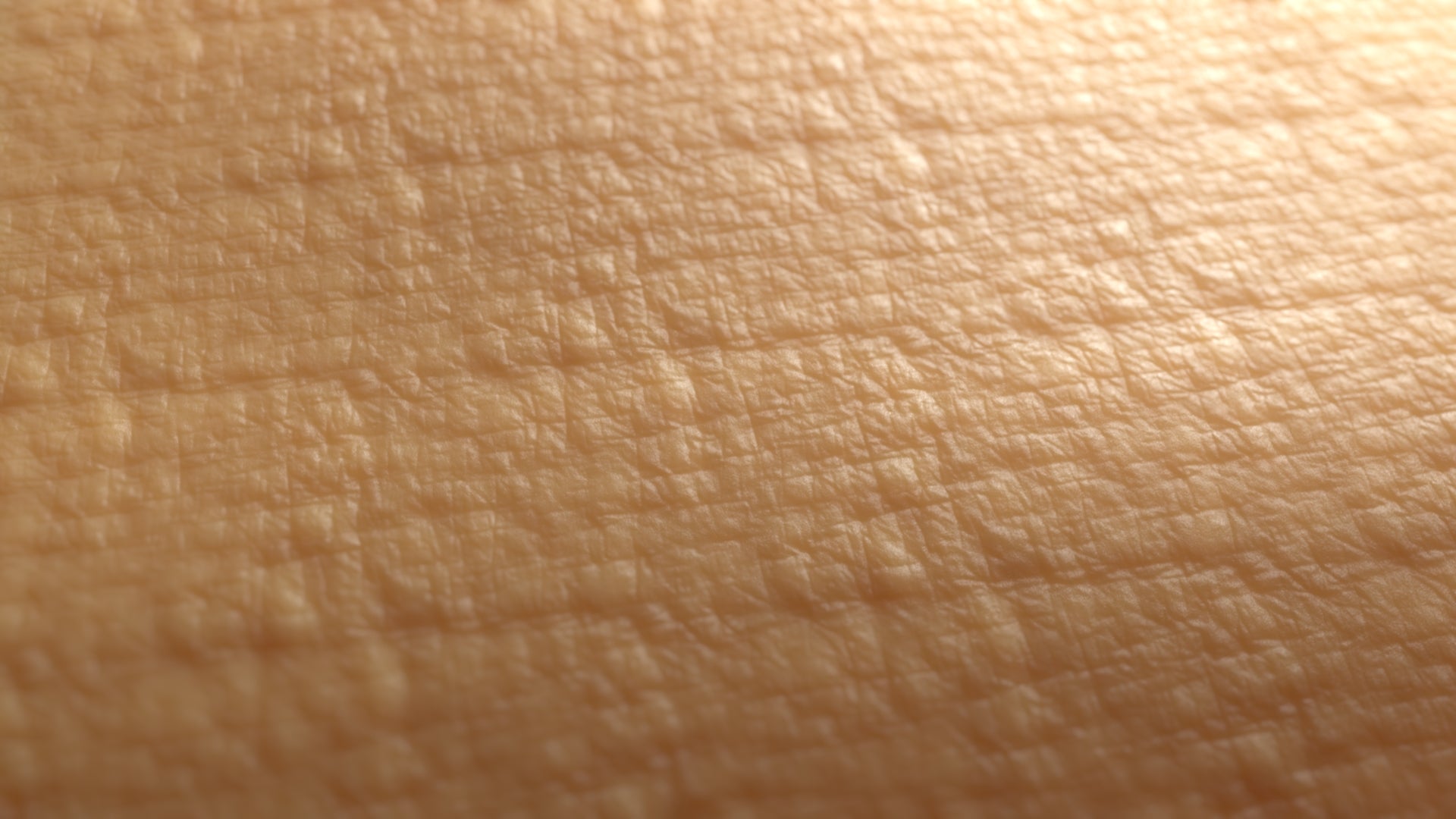 MicroSkin Face Forehead #07 – Texturing.xyz