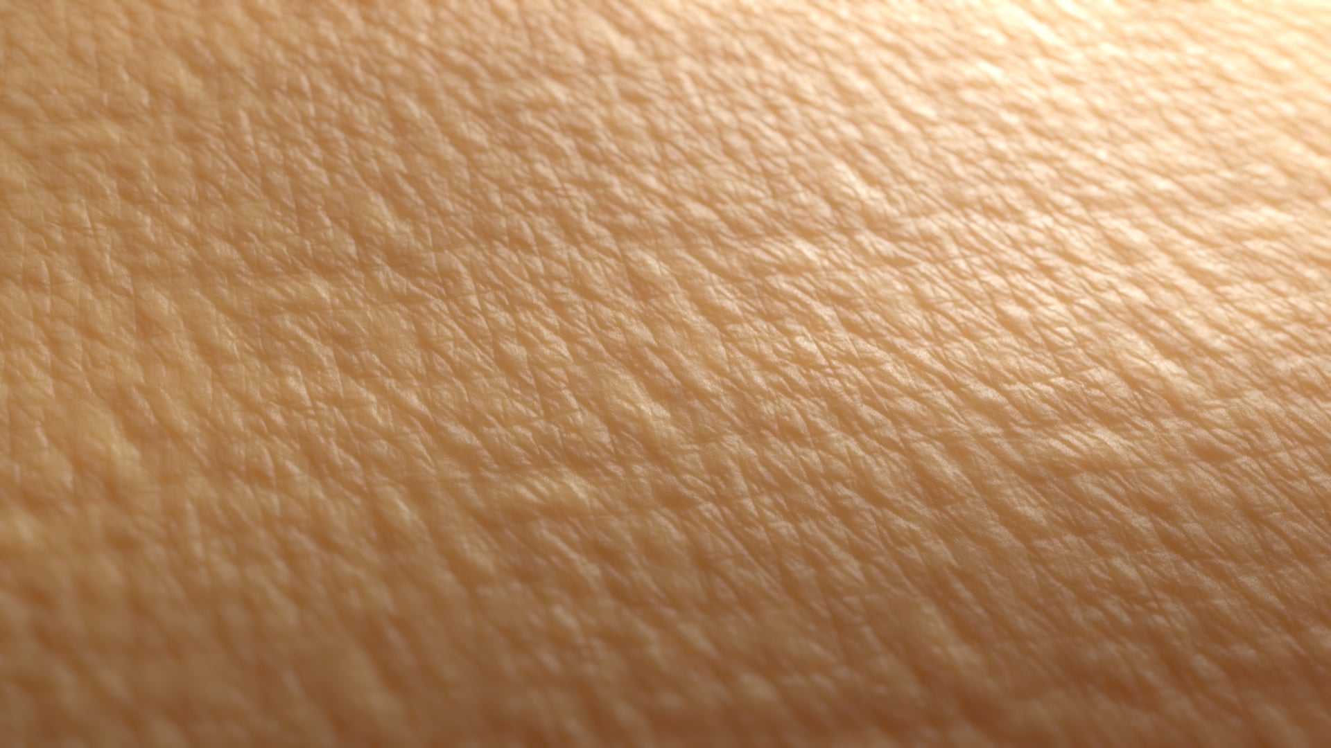 MicroSkin Face Forehead #08 – Texturing.xyz