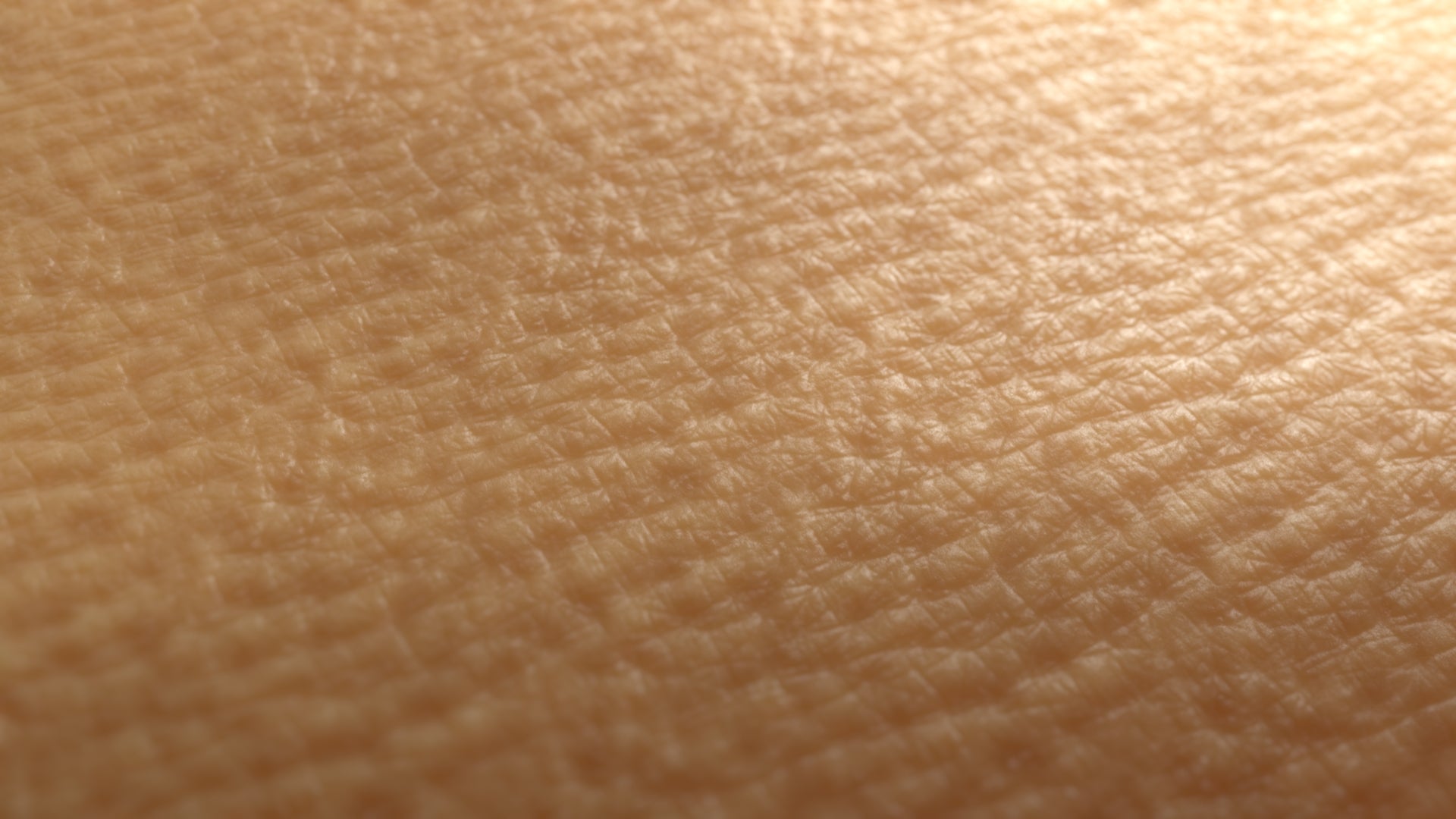MicroSkin Face Forehead #09 – Texturing.xyz