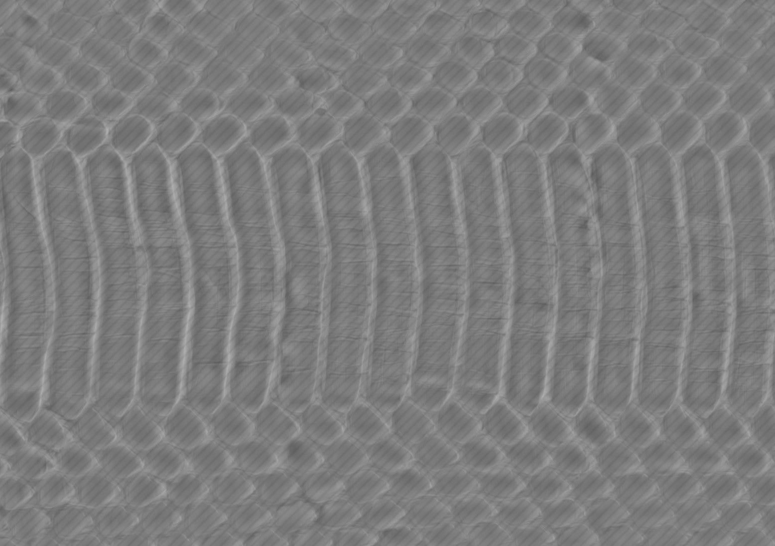 Snake bottom #01 – Texturing.xyz